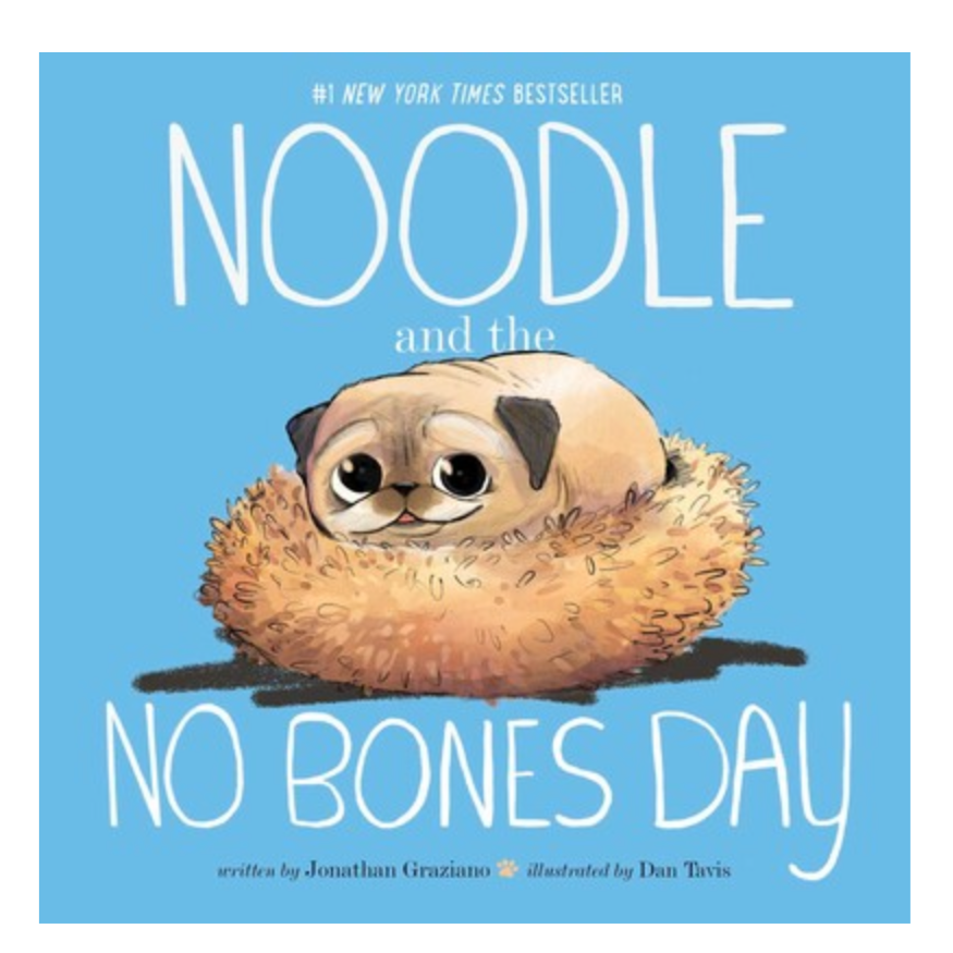 Noodle and the No Bones Day — Child's Play Toys Store