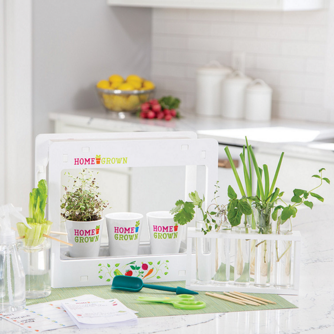 Home Grown Growing Kit — Child's Play Toys Store