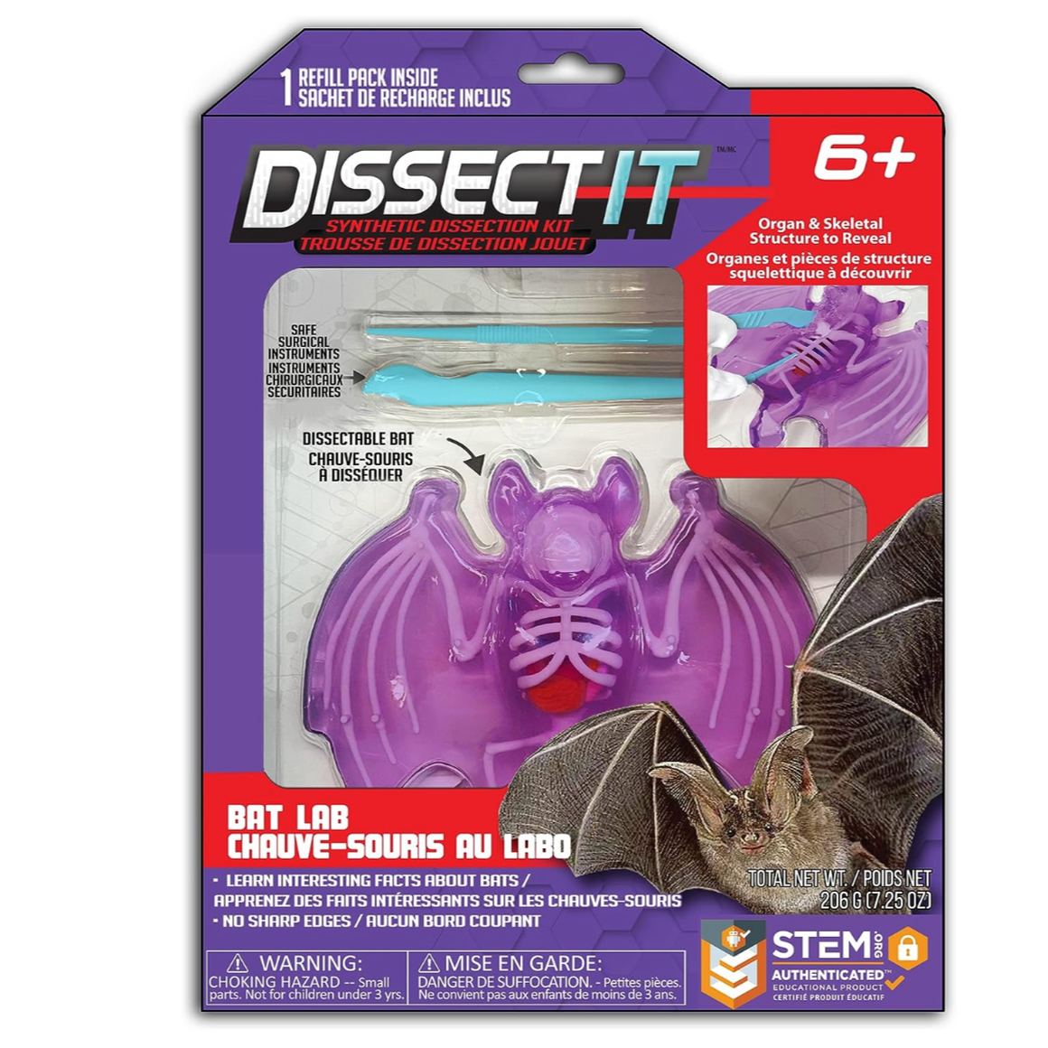 Dissect It Bat Lab — Child's Play Toys Store