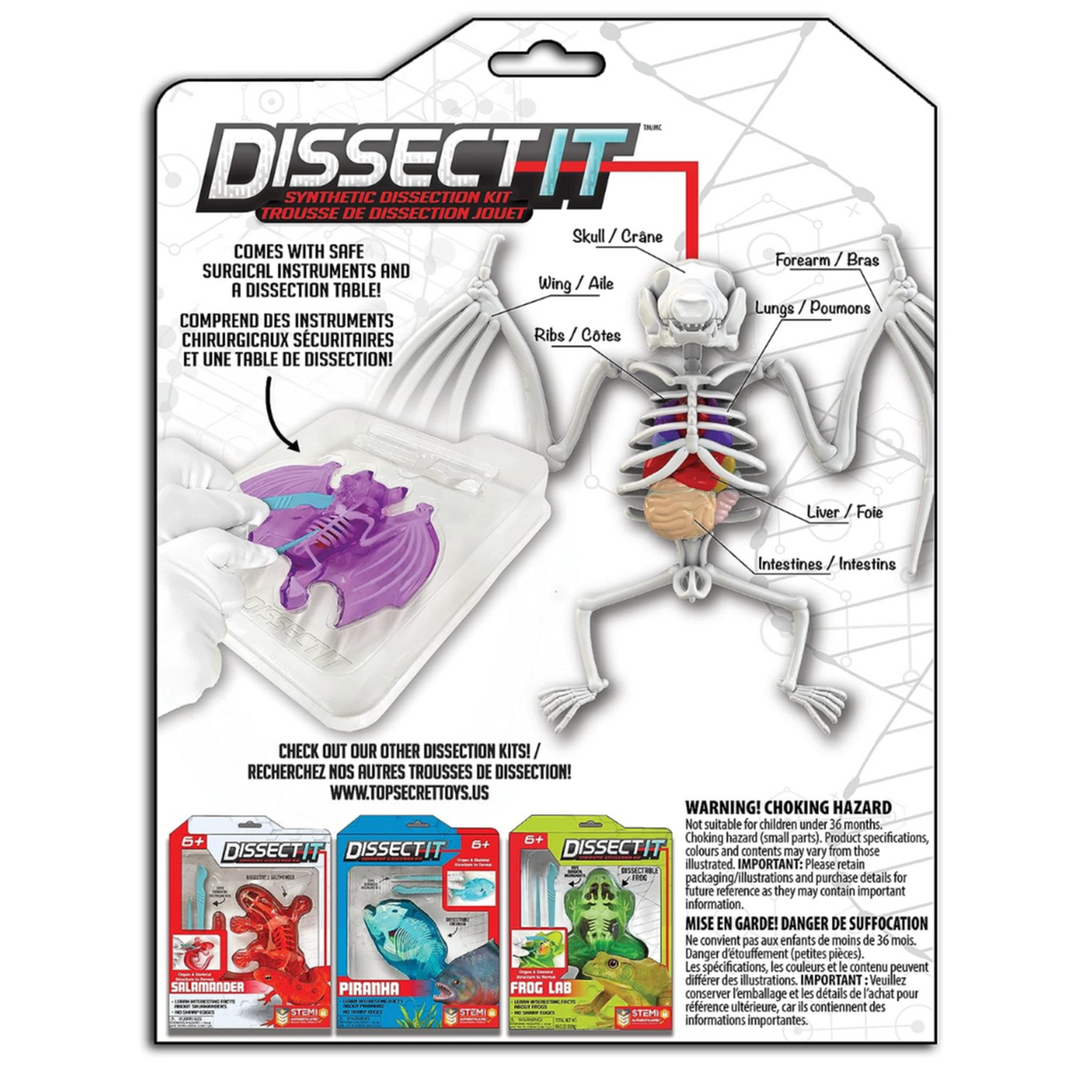Dissect It Bat Lab — Child's Play Toys Store