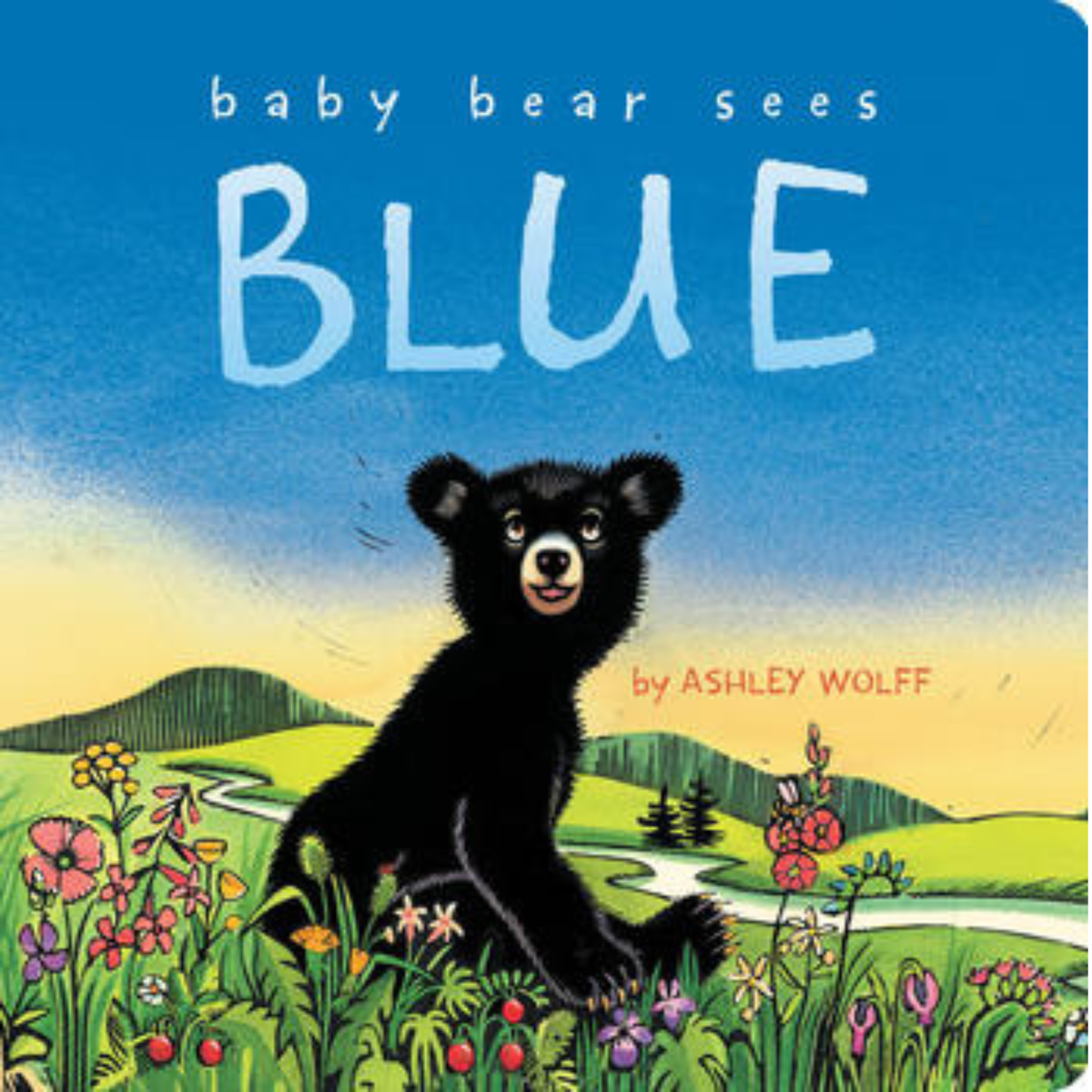 Baby Bear Sees Blue — Child's Play Toys Store